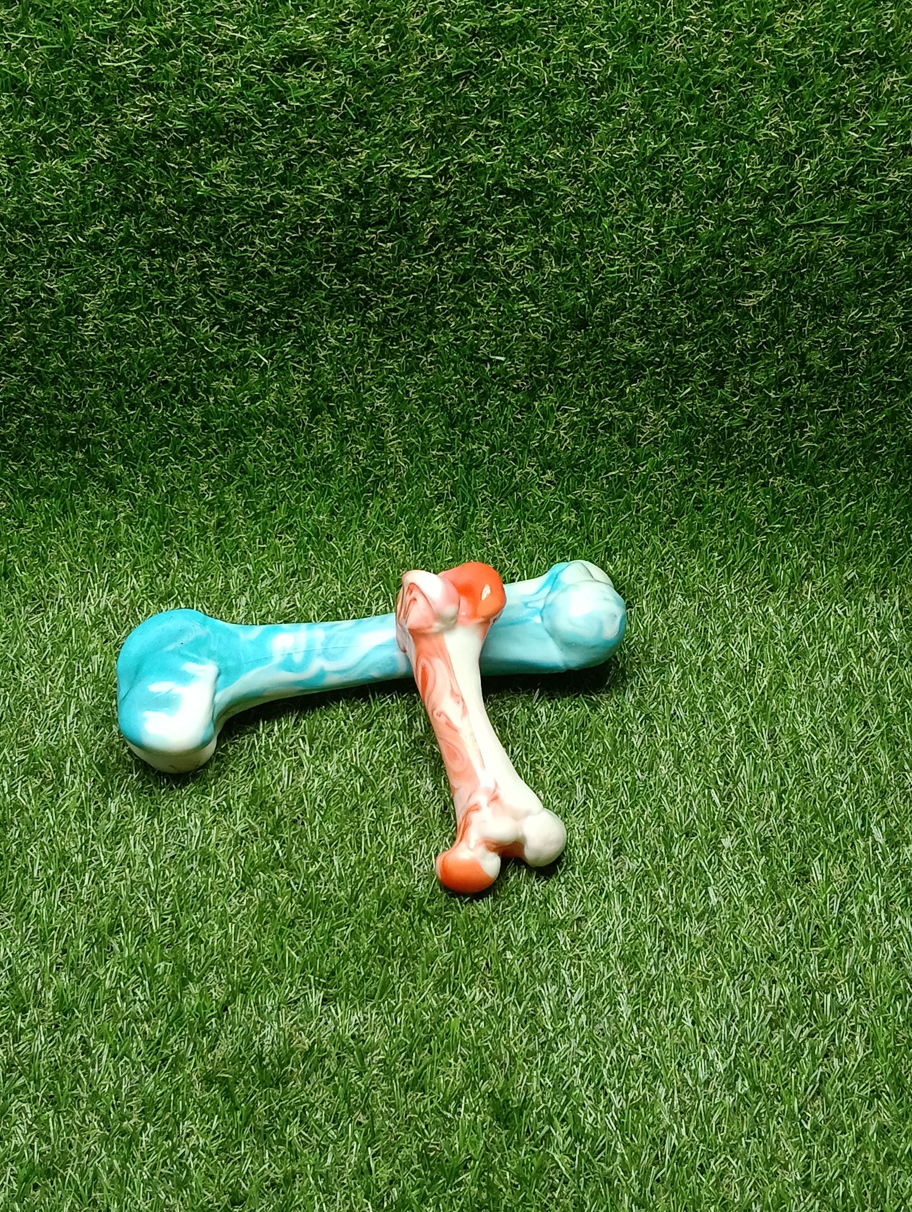 Rainbow Chew Bone – Bruce and friends